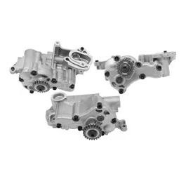 Audi tig Oil pump Passat TT Amarok 2.0tsi CDA CAW CFP | Boss Auto Spares